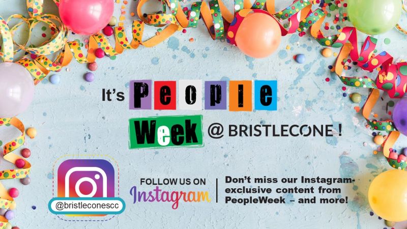Bristlecone on LinkedIn: #25yearsofbristlecone Bristlecone on LinkedIn: #25yearsofbristlecone