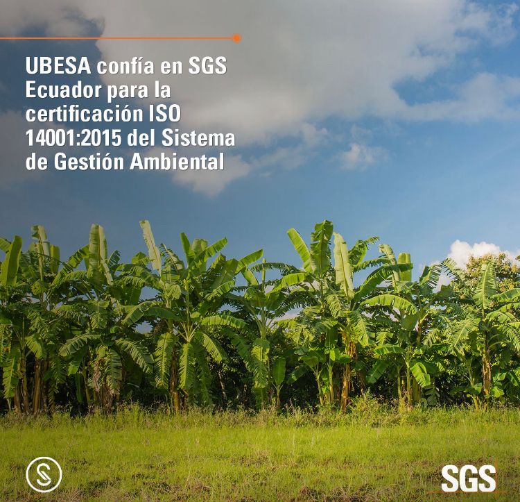 SGS Ecuador en LinkedIn: #sostenibilidad #sgslatam #sgsecuador #iso14001 SGS Ecuador en LinkedIn: #sostenibilidad #sgslatam #sgsecuador #iso14001