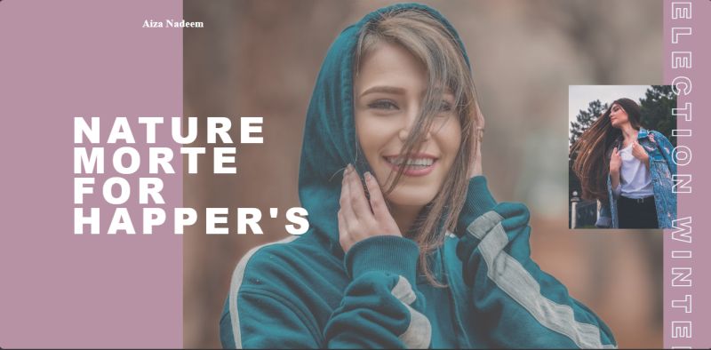 Aiza Nadeem on LinkedIn: #html #page #landing #fyp #landingpage # ... Aiza Nadeem on LinkedIn: #html #page #landing #fyp #landingpage # ...