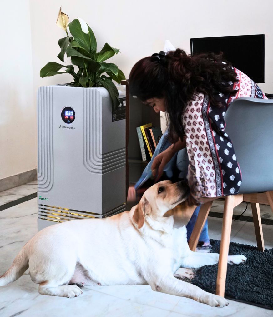 Mansi Mourya on LinkedIn: #innovation #cleanair #airpurifier # ... Mansi Mourya on LinkedIn: #innovation #cleanair #airpurifier # ...