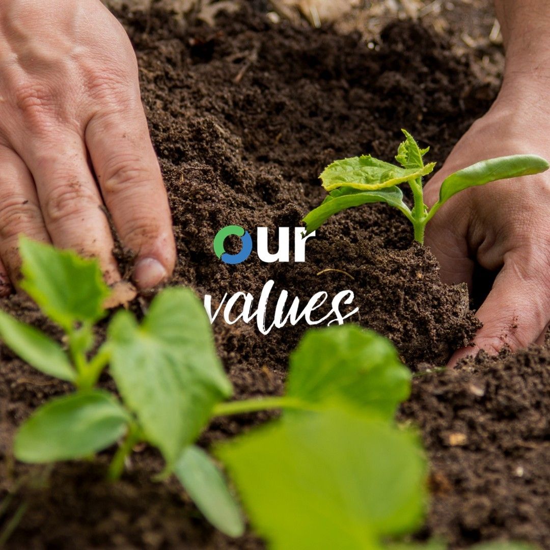 Global EverGreening Alliance on LinkedIn: #greenuptocooldown # ... Global EverGreening Alliance on LinkedIn: #greenuptocooldown # ...