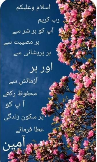 Muhammad Suleman Khan on LinkedIn: #motivation #muhammadsulemankhan # ... Muhammad Suleman Khan on LinkedIn: #motivation #muhammadsulemankhan # ...