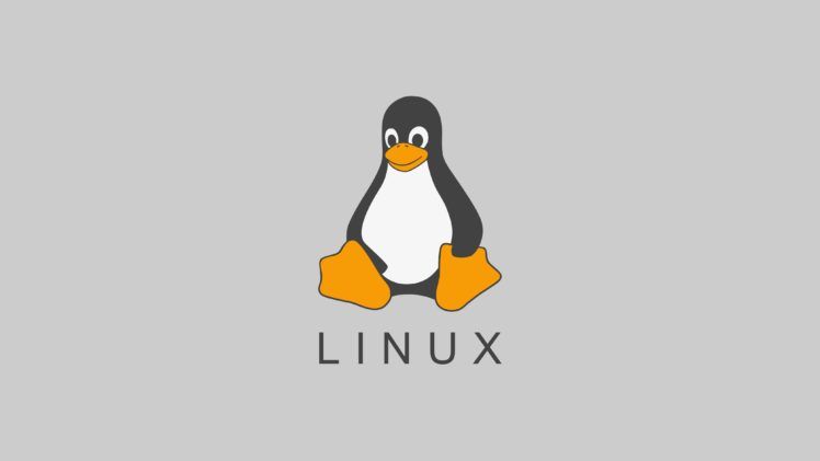 Completed a 2-Week Linux Training | Rahul Kapgate posted on the topic ... Completed a 2-Week Linux Training | Rahul Kapgate posted on the topic ...