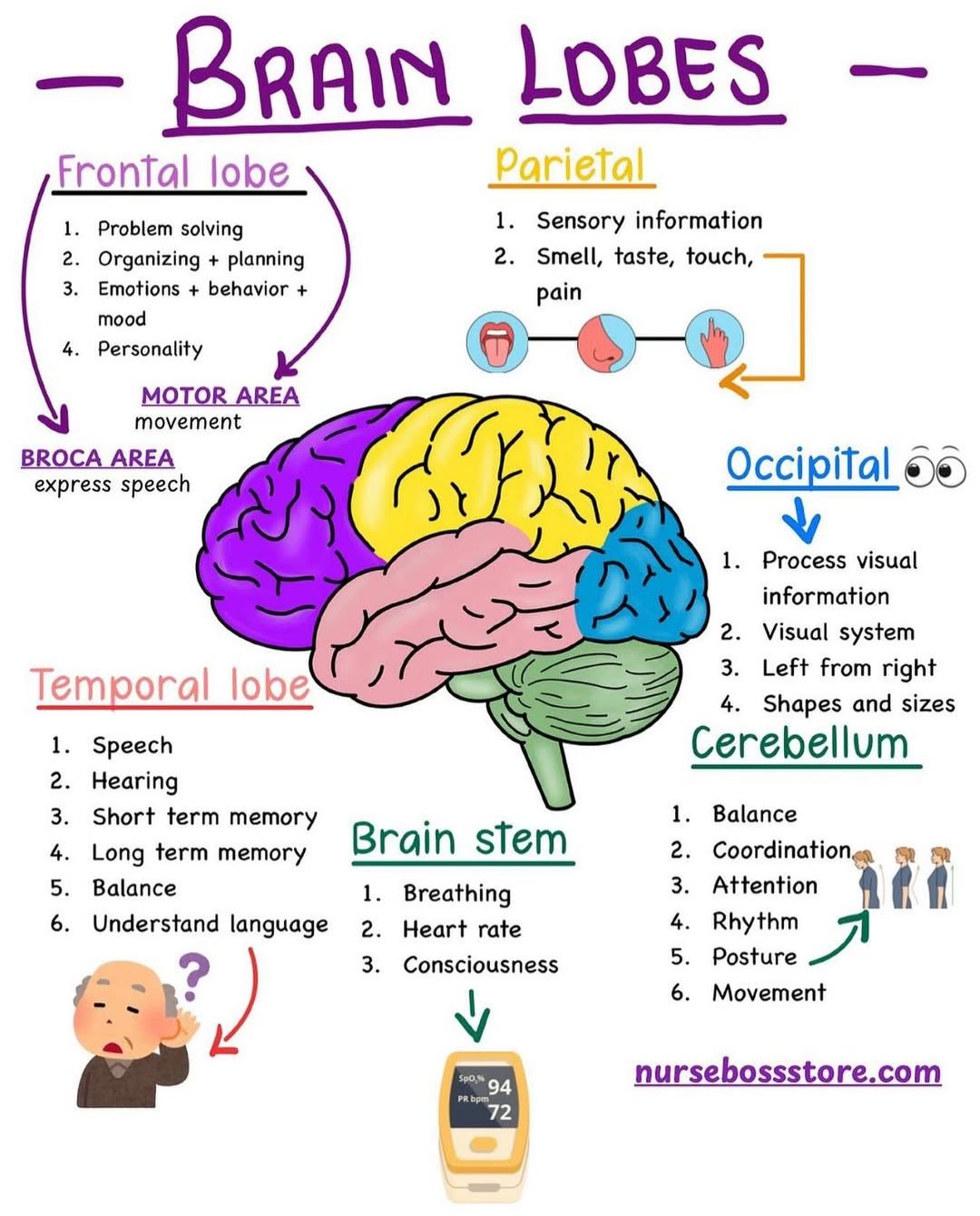 K Sri Ram on LinkedIn: #medicalcoding #learning #anatomy #medicalterm # ... K Sri Ram on LinkedIn: #medicalcoding #learning #anatomy #medicalterm # ...