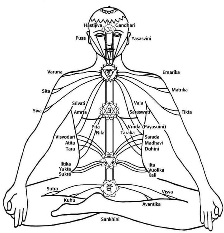 R.singara Velan on LinkedIn: Body energy , yoga chekras,nadi human body ... R.singara Velan on LinkedIn: Body energy , yoga chekras,nadi human body ...