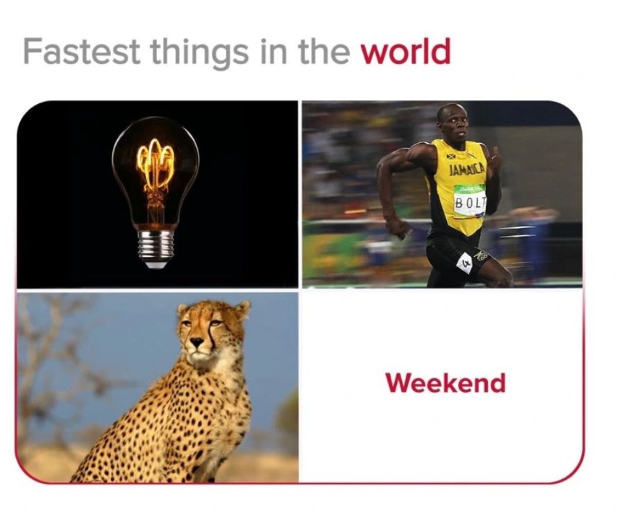 Neha Garg on LinkedIn: #agree #weekend #weekendvibes #weekendready # ... Neha Garg on LinkedIn: #agree #weekend #weekendvibes #weekendready # ...