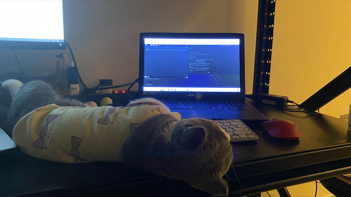 Dan Tran on LinkedIn: My cat actually write source code. He will take ... Dan Tran on LinkedIn: My cat actually write source code. He will take ...