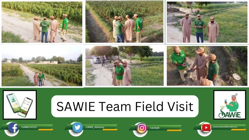 SAWIE Ecosystems on LinkedIn: SAWIE team field activities! The SAWIE ... SAWIE Ecosystems on LinkedIn: SAWIE team field activities! The SAWIE ...