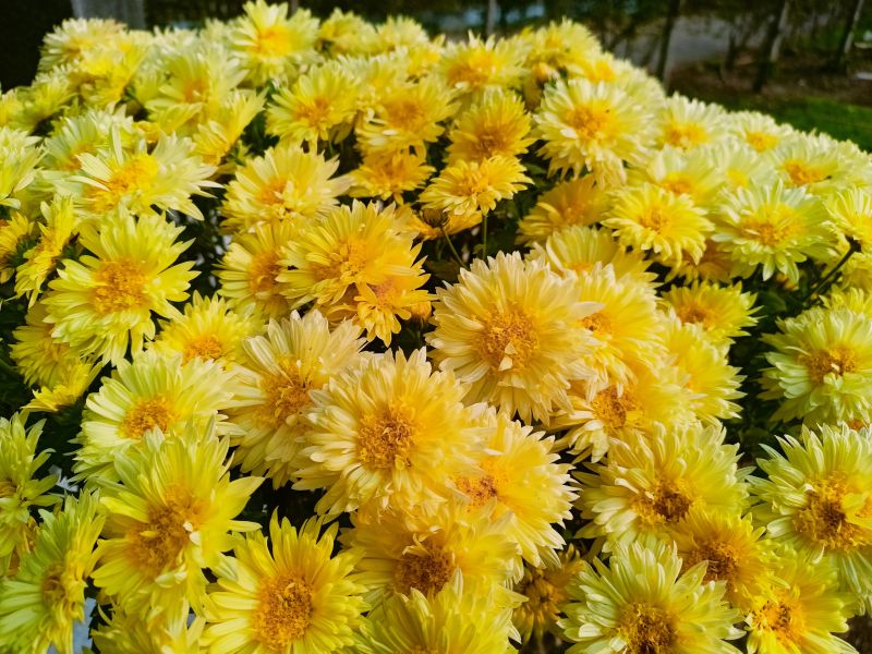 Shrabani Bhowmick on LinkedIn: https://lnkd.in/gph2pHBD please do check ... Shrabani Bhowmick on LinkedIn: https://lnkd.in/gph2pHBD please do check ...