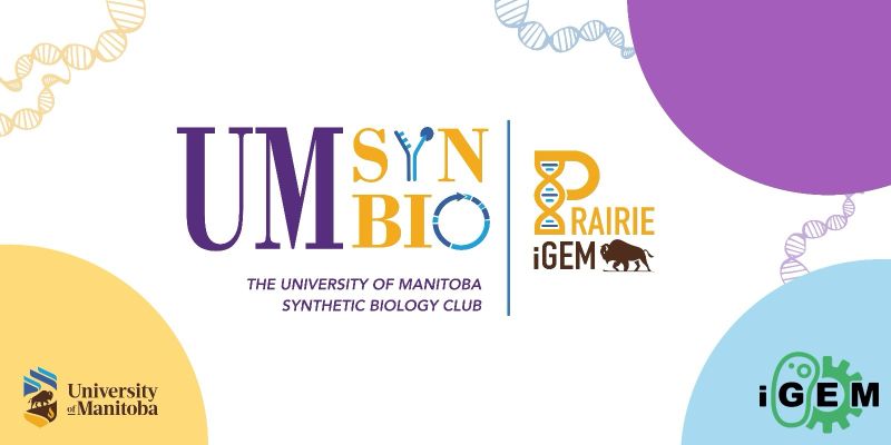 Rudra Patel on LinkedIn: #synbio #umsu #leadership #innovation #genetics Rudra Patel on LinkedIn: #synbio #umsu #leadership #innovation #genetics