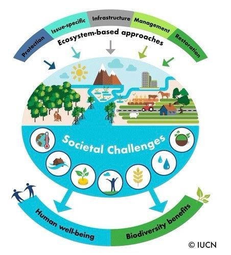 Niketa Nandan Roy Choudhury on LinkedIn: #naturebasedsolutions # ... Niketa Nandan Roy Choudhury on LinkedIn: #naturebasedsolutions # ...
