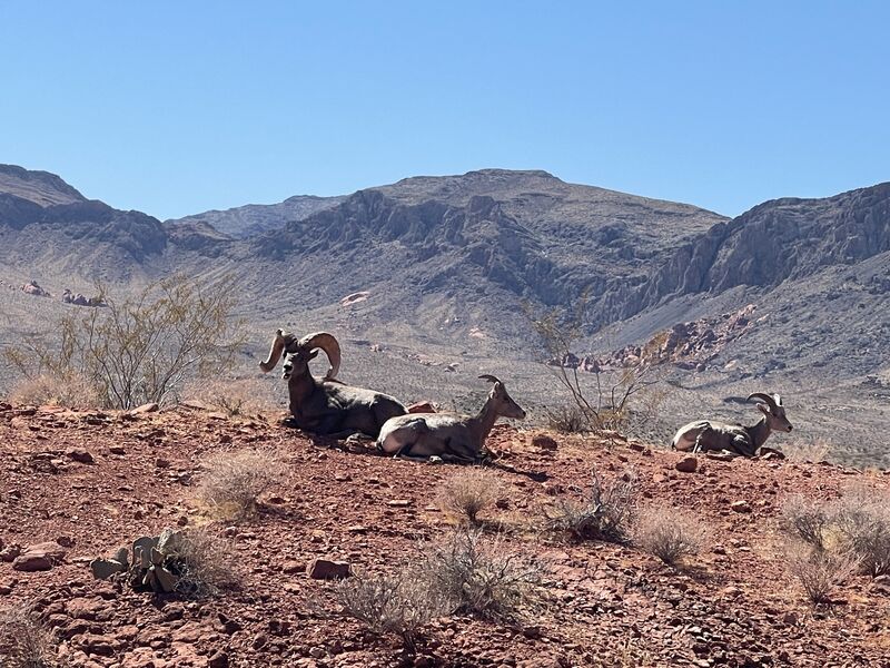 Joshua Hallett on LinkedIn: It has been a hard road since leaving my ... Joshua Hallett on LinkedIn: It has been a hard road since leaving my ...