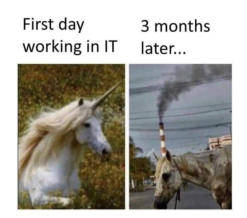 Shruti Singh on LinkedIn: Full stack developer Memes Shruti Singh on LinkedIn: Full stack developer Memes