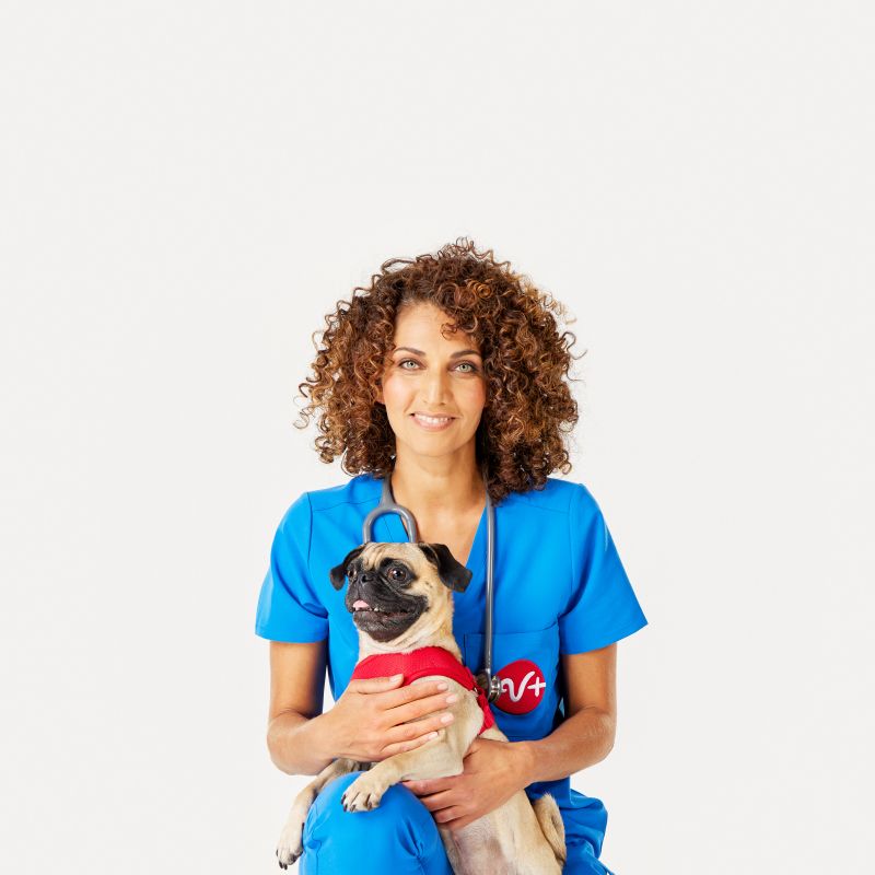 Jesse Thomason on LinkedIn: Veterinary Doctors. We are removing the ... Jesse Thomason on LinkedIn: Veterinary Doctors. We are removing the ...