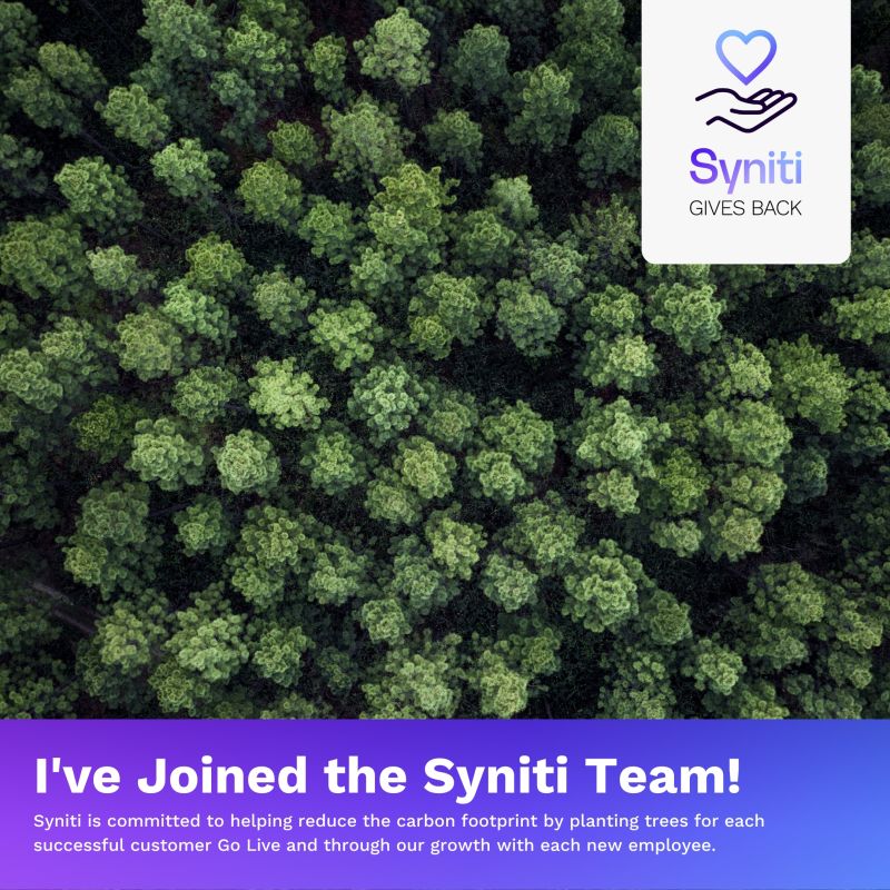 Ankit Chauhan on LinkedIn: #newbeginnings #synitiforest #synizens Ankit Chauhan on LinkedIn: #newbeginnings #synitiforest #synizens