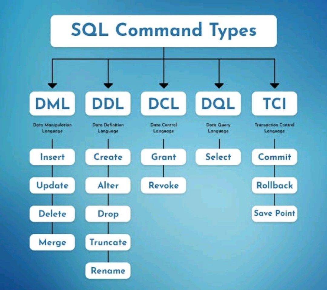 Shape Up on LinkedIn: #sql #sqlcommands #database #ddl #dcl #learning # ... Shape Up on LinkedIn: #sql #sqlcommands #database #ddl #dcl #learning # ...