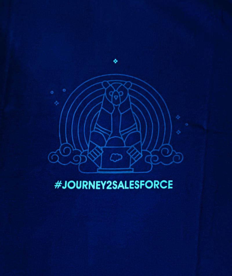 RAUNAK GHOSH on LinkedIn: #journey2salesforce #salesforce #trailhead # ... RAUNAK GHOSH on LinkedIn: #journey2salesforce #salesforce #trailhead # ...