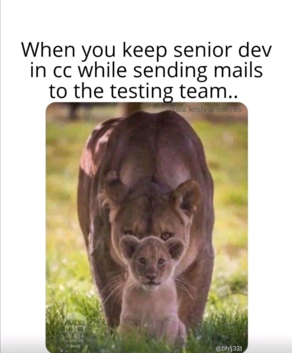 Akash Keshri on LinkedIn: #developer #tester #mails #humor #funny # ... Akash Keshri on LinkedIn: #developer #tester #mails #humor #funny # ...