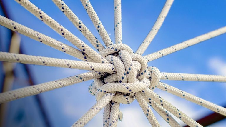 Rajesh Bheemanee on LinkedIn: Five principles will help leaders cut ... Rajesh Bheemanee on LinkedIn: Five principles will help leaders cut ...