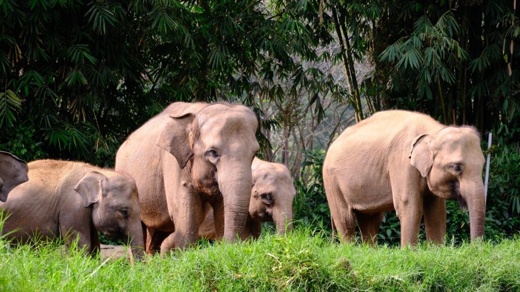 Shiv Iyer on LinkedIn: Index Wildcard in PostgreSQL - PostgreSQL ... Shiv Iyer on LinkedIn: Index Wildcard in PostgreSQL - PostgreSQL ...