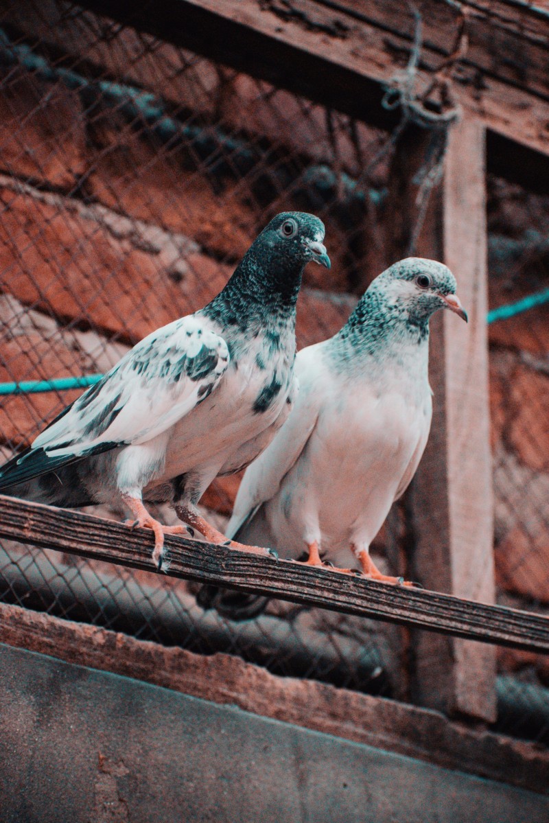 Gayathri Narsi Bandi on LinkedIn: A Gentle Introduction to Positional ... Gayathri Narsi Bandi on LinkedIn: A Gentle Introduction to Positional ...