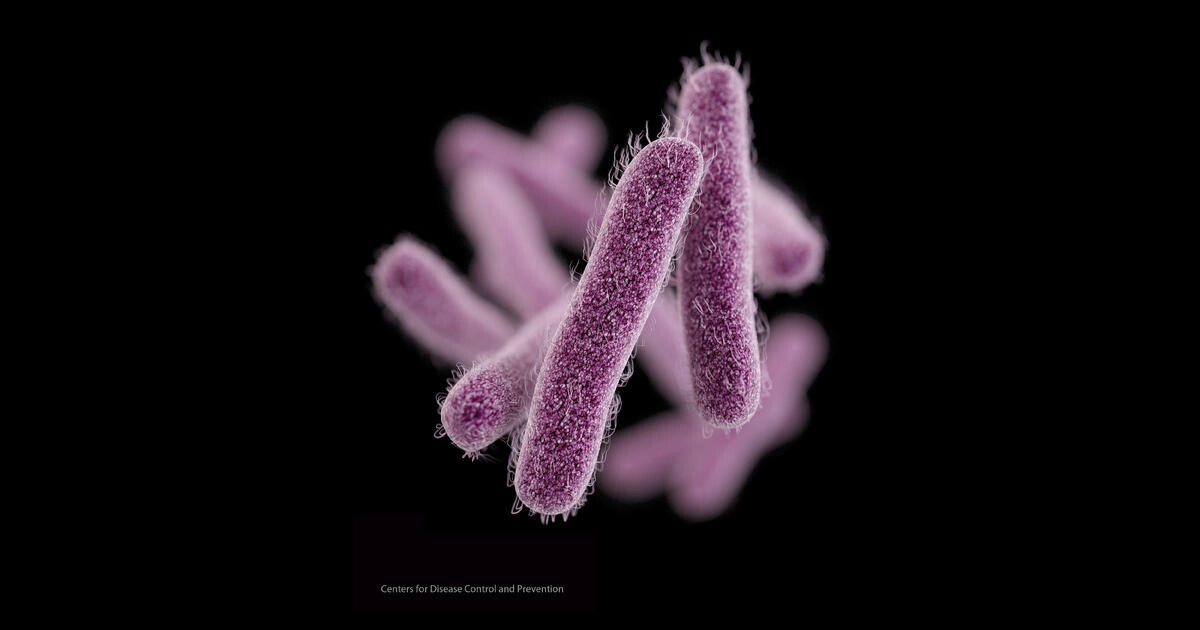 Lindsey Tomaw, DrPH (c), MPH, BS, CPT on LinkedIn: CDC warns about drug ... Lindsey Tomaw, DrPH (c), MPH, BS, CPT on LinkedIn: CDC warns about drug ...