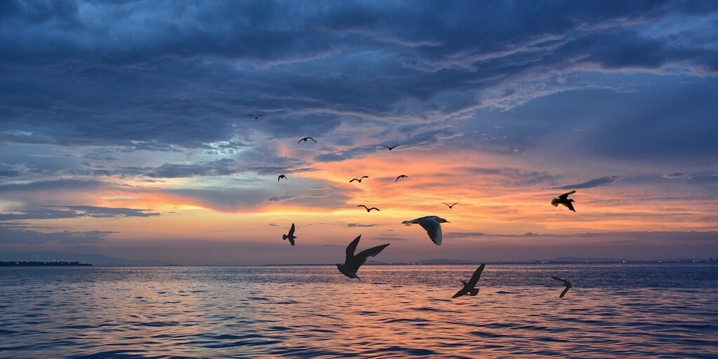 Sandy J. Wallace, MBA on LinkedIn: NetApp Cloud Volumes Service ... Sandy J. Wallace, MBA on LinkedIn: NetApp Cloud Volumes Service ...