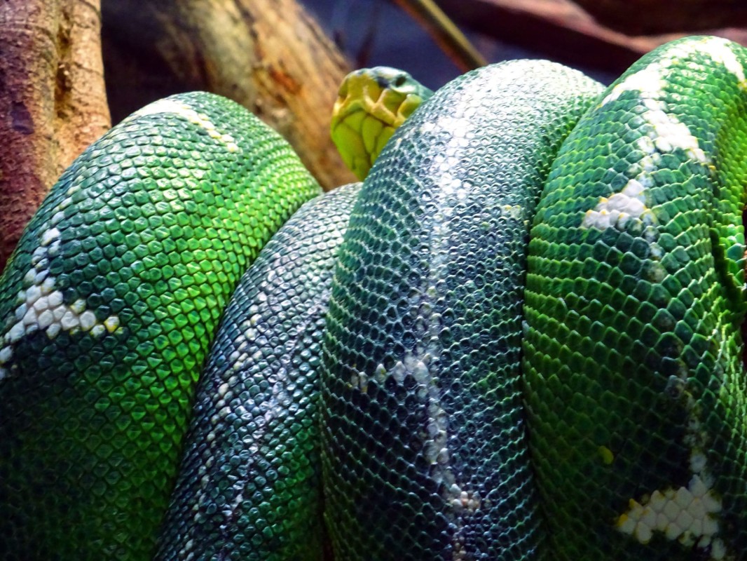 freeCodeCamp en LinkedIn: Google Colaboratory – How to Run Python Code ... freeCodeCamp en LinkedIn: Google Colaboratory – How to Run Python Code ...