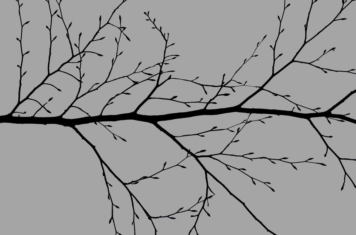 Towards Data Science on LinkedIn: A Gentle Introduction to Branch & Bound Towards Data Science on LinkedIn: A Gentle Introduction to Branch & Bound