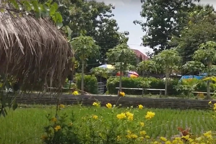 gema sulawesi on LinkedIn: Menikmati Keindahan Alam dan Wahana Seru di ... gema sulawesi on LinkedIn: Menikmati Keindahan Alam dan Wahana Seru di ...