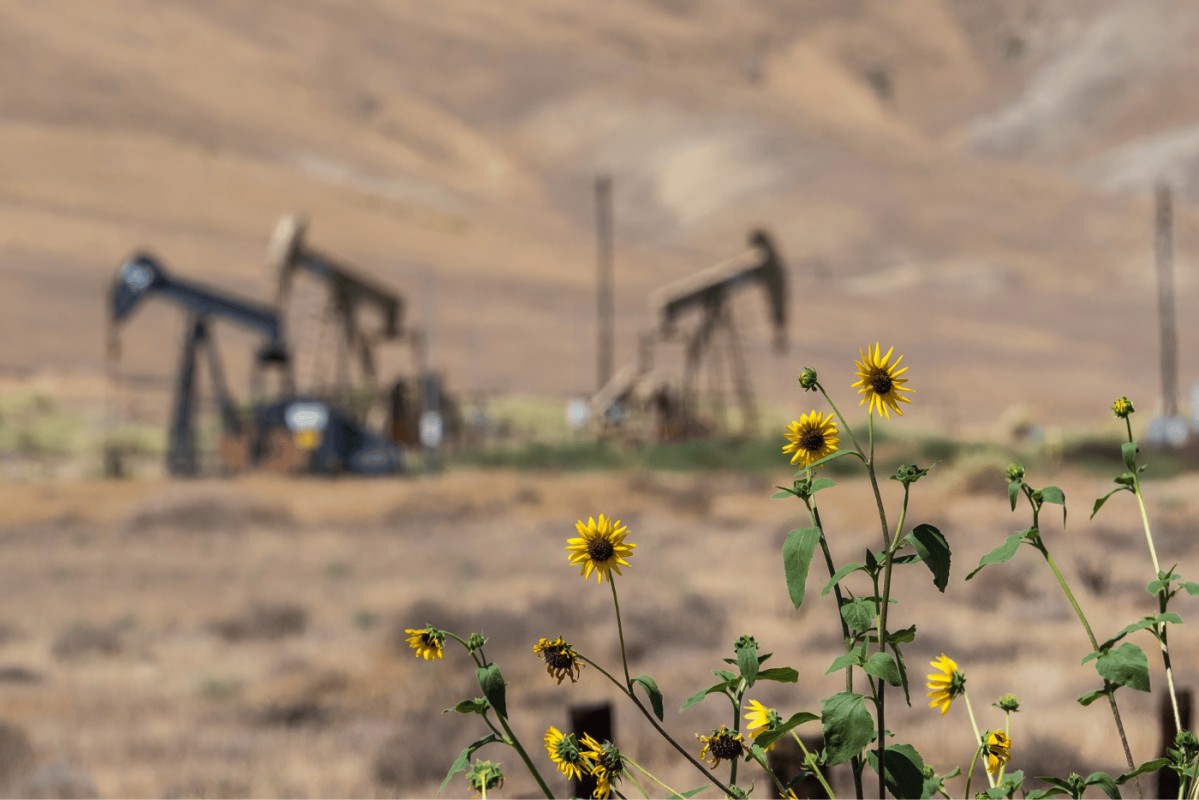 David A. Tawil on LinkedIn: Is Your Farm or Ranch as Profitable as It ... David A. Tawil on LinkedIn: Is Your Farm or Ranch as Profitable as It ...