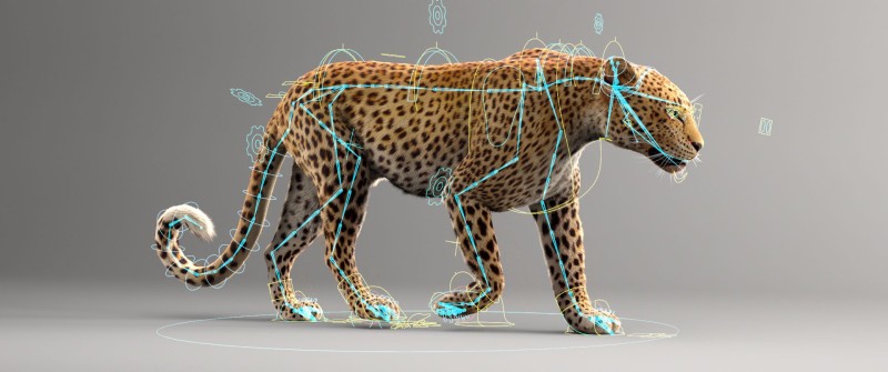 Hotel Hungaria Animation Studios on LinkedIn: Rigging and Animating a ... Hotel Hungaria Animation Studios on LinkedIn: Rigging and Animating a ...