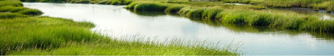 Larry Walker Associates | LinkedIn Larry Walker Associates | LinkedIn