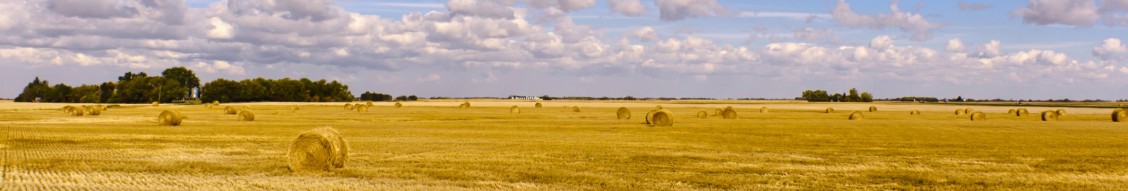 Canora Courier on LinkedIn: Canora RCMP: Vehicle in ditch leads to ... Canora Courier on LinkedIn: Canora RCMP: Vehicle in ditch leads to ...