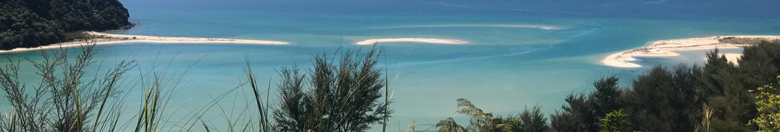 Project Janszoon - Restoring the Abel Tasman on LinkedIn: #reportarobin ... Project Janszoon - Restoring the Abel Tasman on LinkedIn: #reportarobin ...