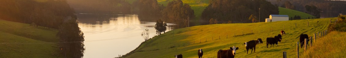 Canberra Region Joint Organisation | LinkedIn Canberra Region Joint Organisation | LinkedIn