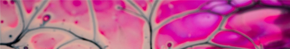 March Biosciences | LinkedIn March Biosciences | LinkedIn